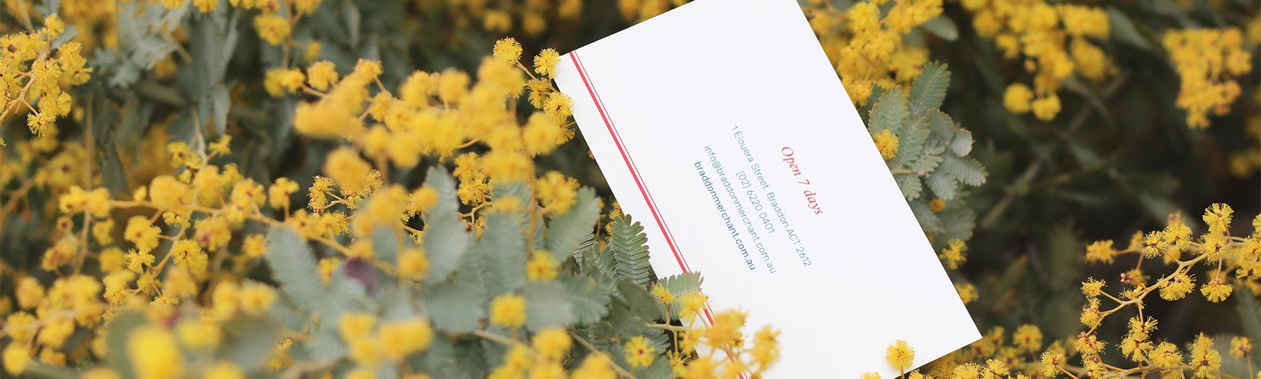 Braddon Merchant Kitchen and Wine, Canberra | ACT